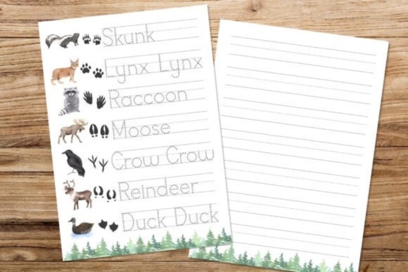 Learn About Animal Tracks Using This Winter Animal Tracks Unit Study ...