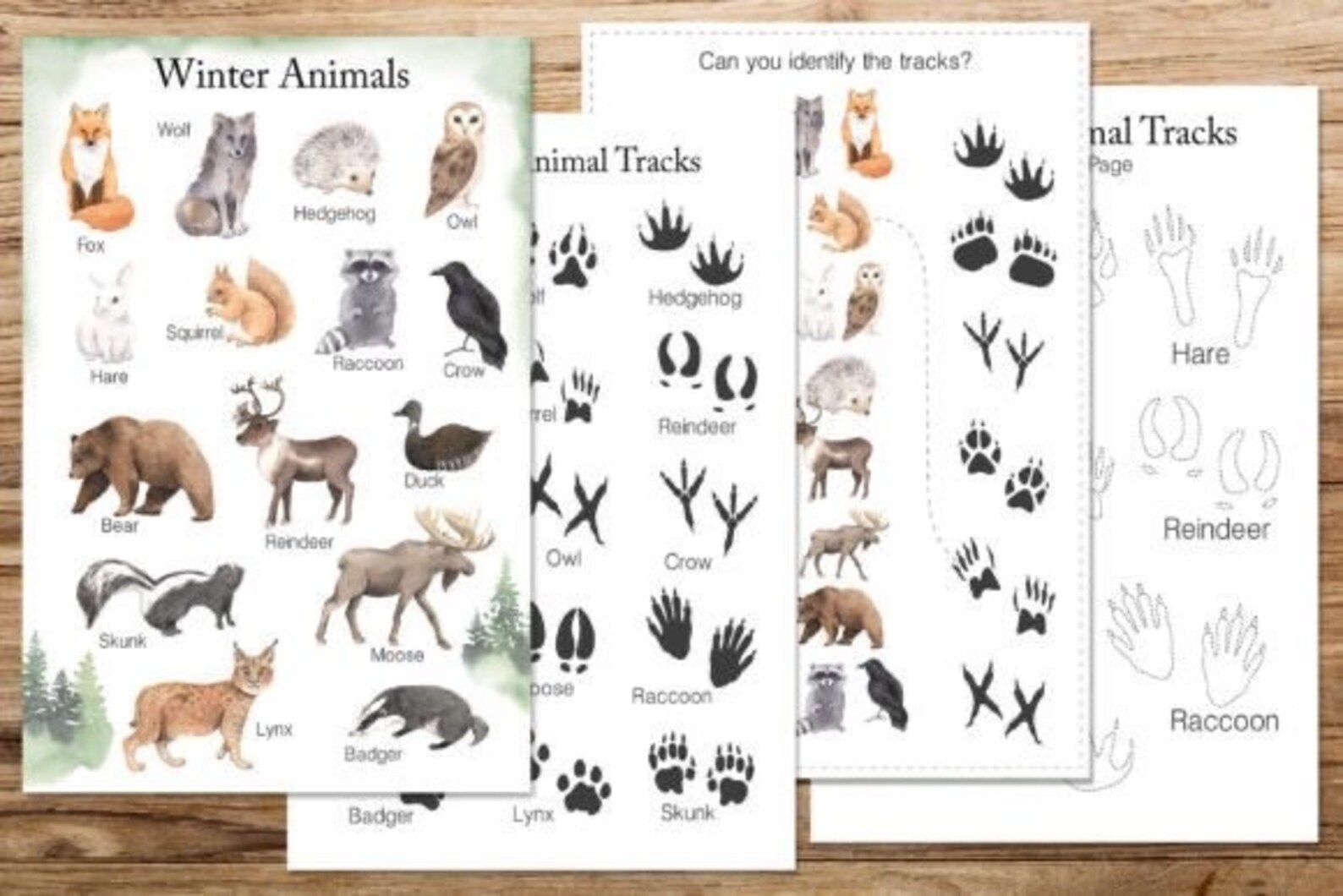 Learn About Animal Tracks Using This Winter Animal Tracks Unit Study ...