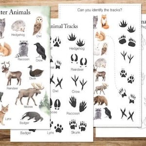 Learn About Animal Tracks Using This Winter Animal Tracks Unit Study ...