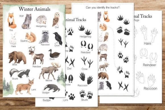 Learn About Animal Tracks Using This Winter Animal Tracks Unit Study ...
