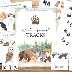 Learn About Animal Tracks Using This Winter Animal Tracks Unit Study ...