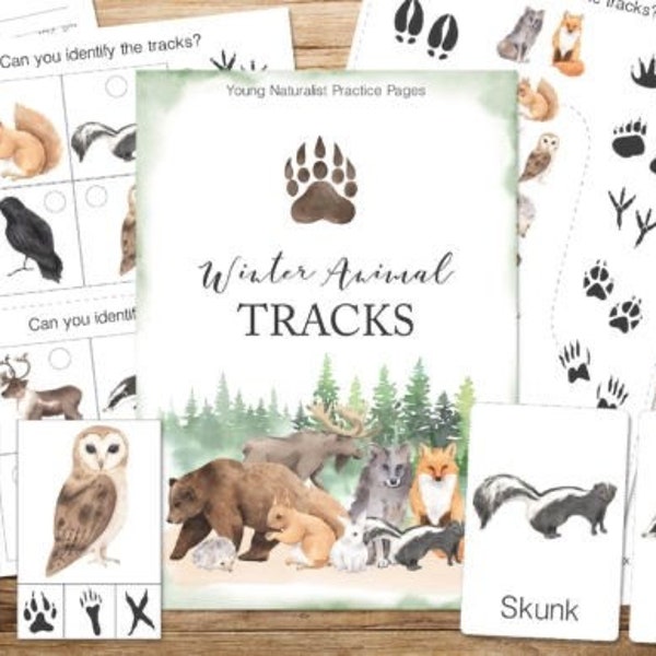 Animal Track Stencils - Etsy