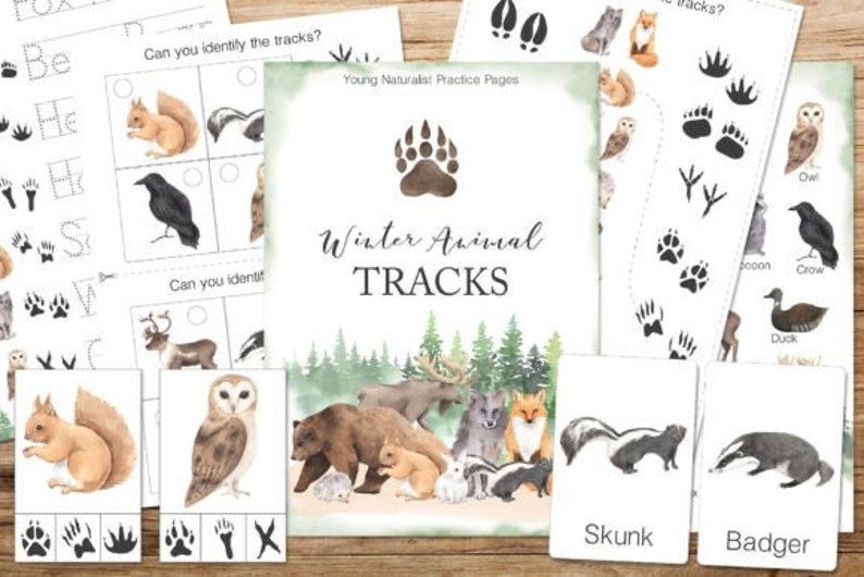 Learn About Animal Tracks Using This Winter Animal Tracks Unit Study ...