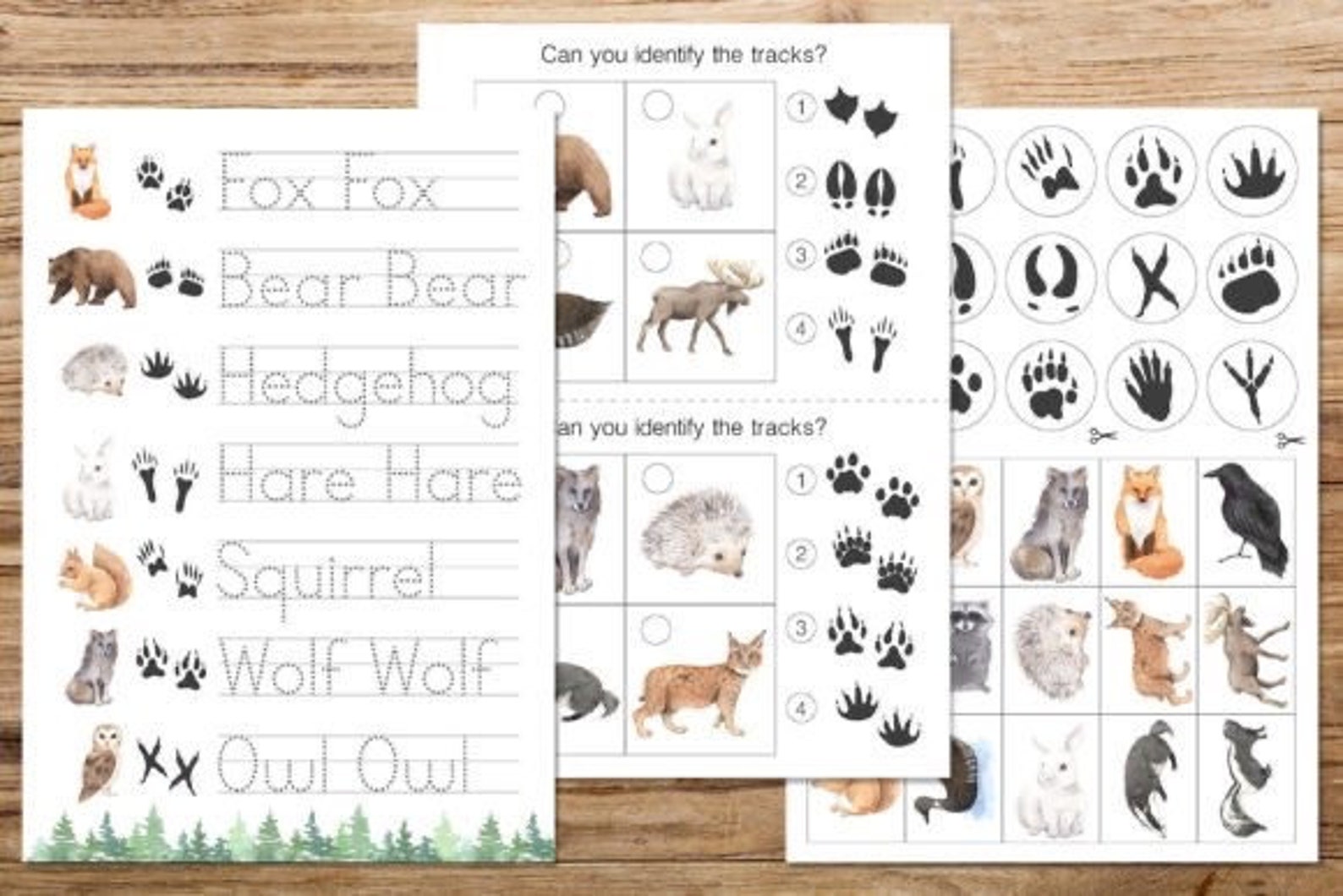 Learn About Animal Tracks Using This Winter Animal Tracks Unit Study ...