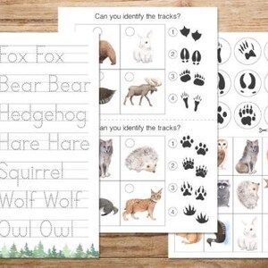 Learn About Animal Tracks Using This Winter Animal Tracks Unit Study ...
