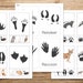 Learn About Animal Tracks Using This Winter Animal Tracks Unit - Etsy