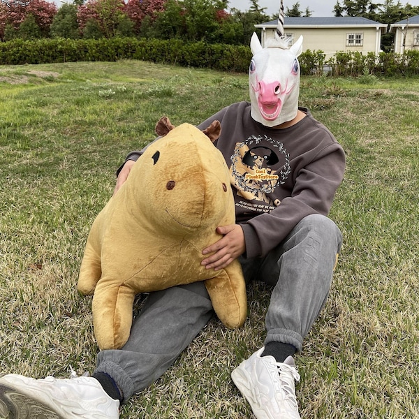 Giant Capybara Plush - Etsy