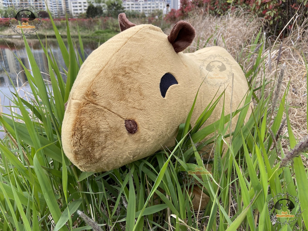 Kawaii Giant Capybara Plush,realistic Capybara Stuffed Animal,capybara ...