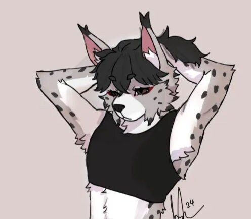 Custom Furry Art Commissions full-body - Etsy