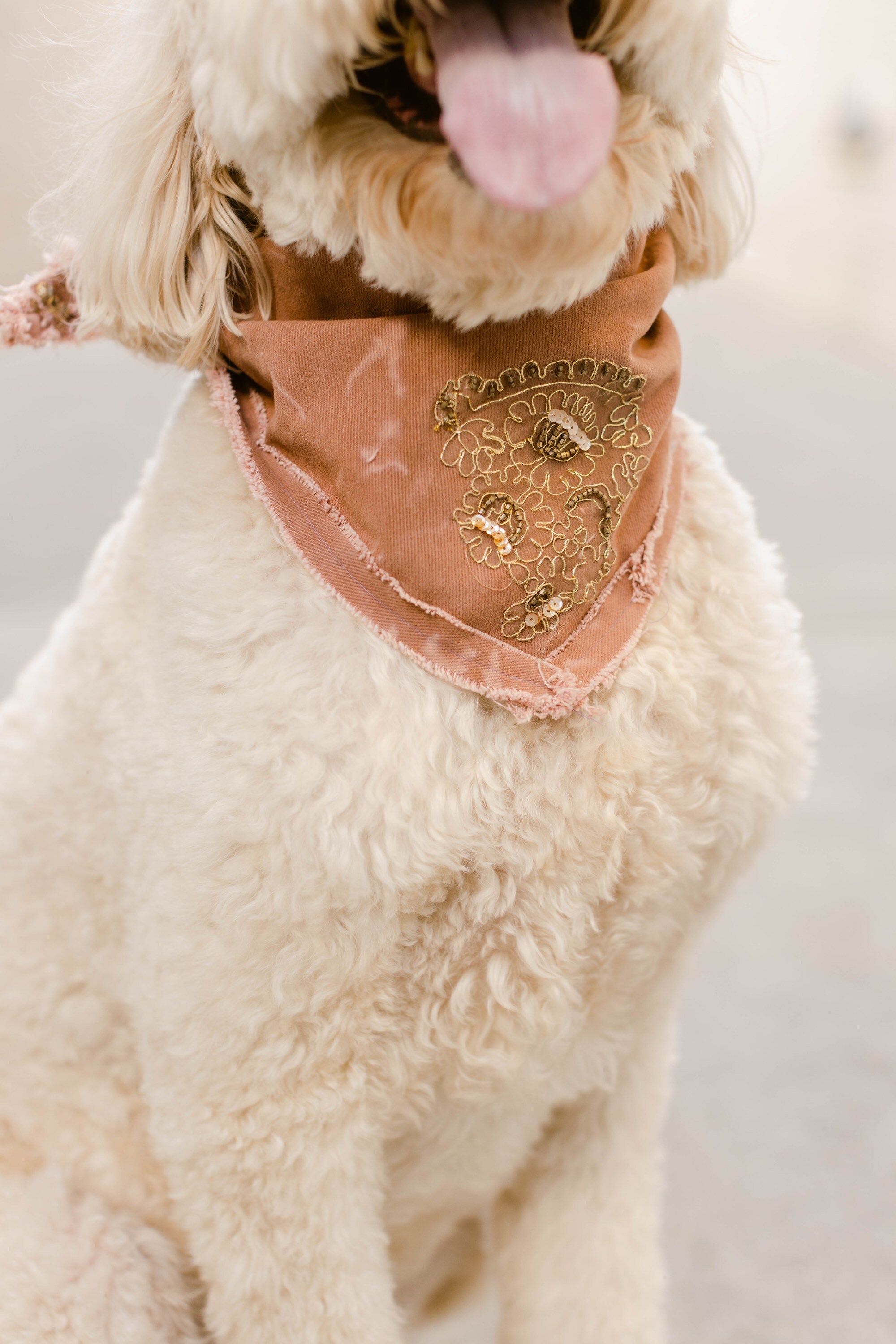 Stay Golden Bandana/Luxus/ Handarbeit/ Vintage/ Hunde Bandana ...