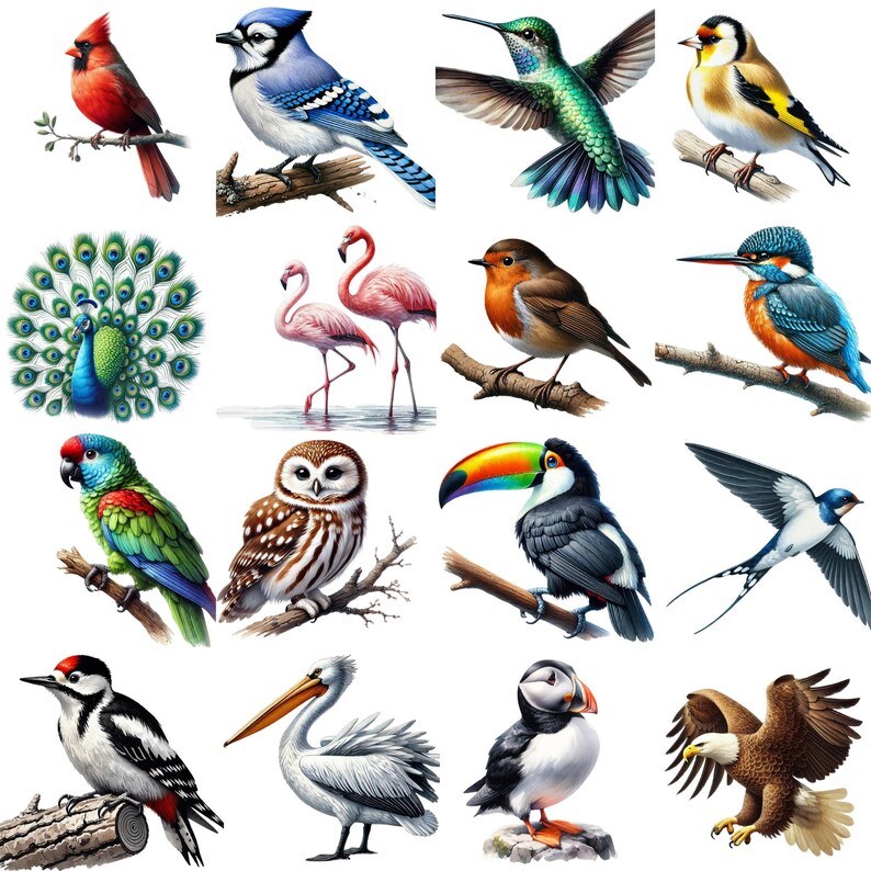Realistic Watercolor Birds Clip Art PNG Artful Bundle Commercial Use ...
