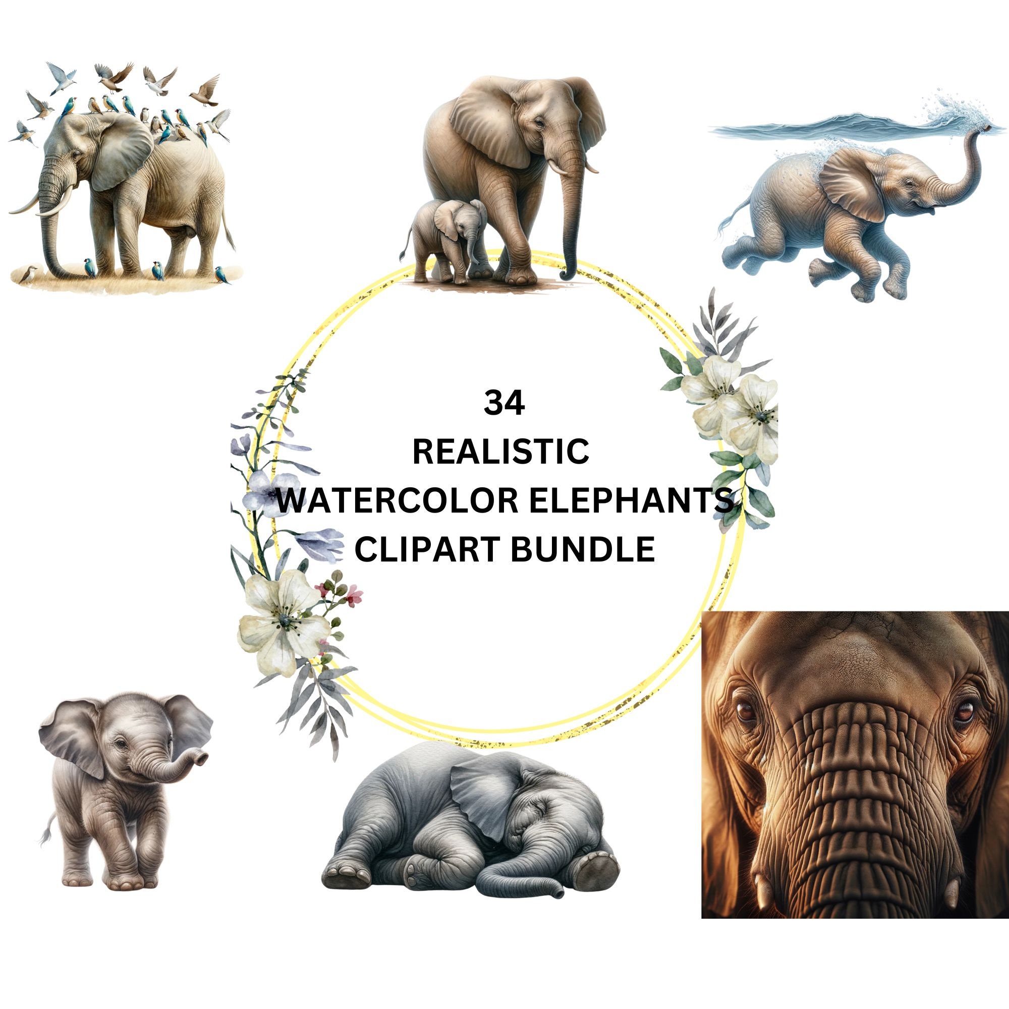 Watercolor Elephant Clipart Images Realistic Elephant Cute - Etsy