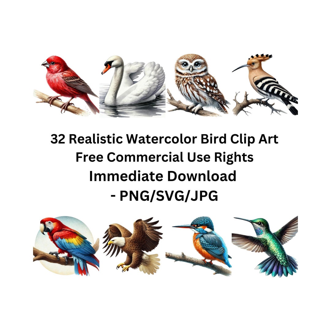 Realistic Watercolor Birds Clip Art PNG Artful Bundle Commercial Use ...