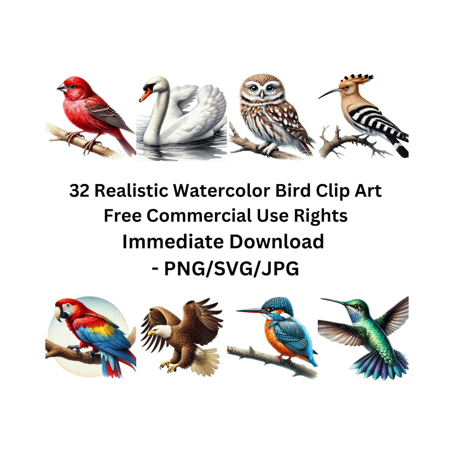 Realistic Watercolor Birds Clip Art PNG Artful Bundle Commercial Use ...