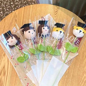 Crochet Graduation Boy, Girl, Crochet Flower Bouquet, Graduation Gift ...