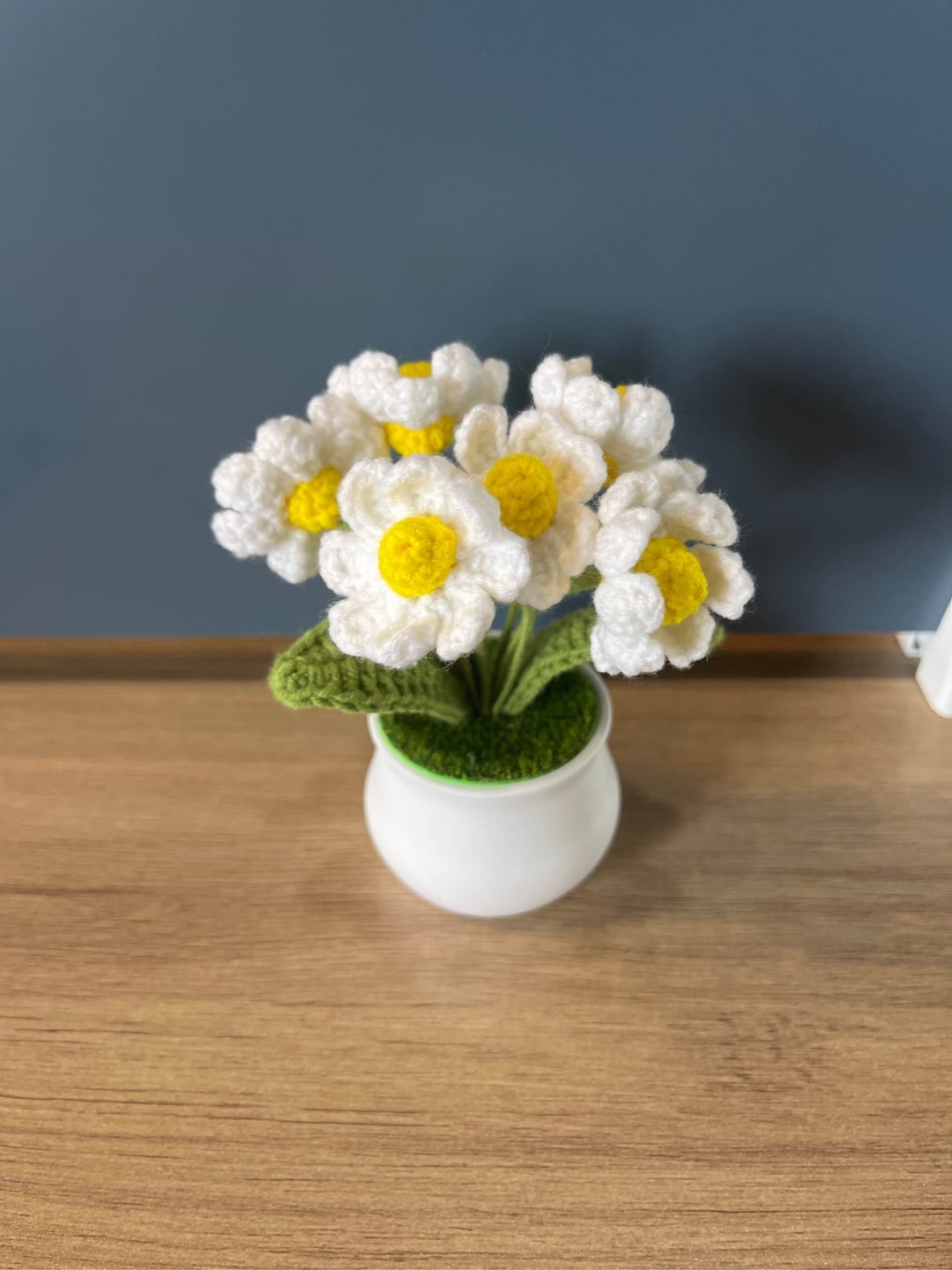 Crochet Daisy, Daisy Potted, Six Small Flowers, Handmade Knitted ...