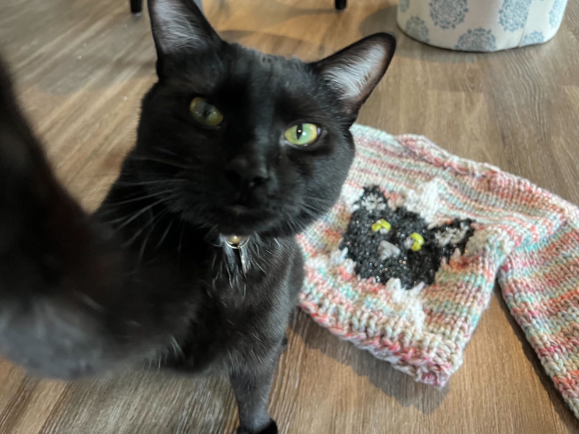 All Star Kitty Cat Sweater Pattern KNITTING PATTERN ONLY - Etsy