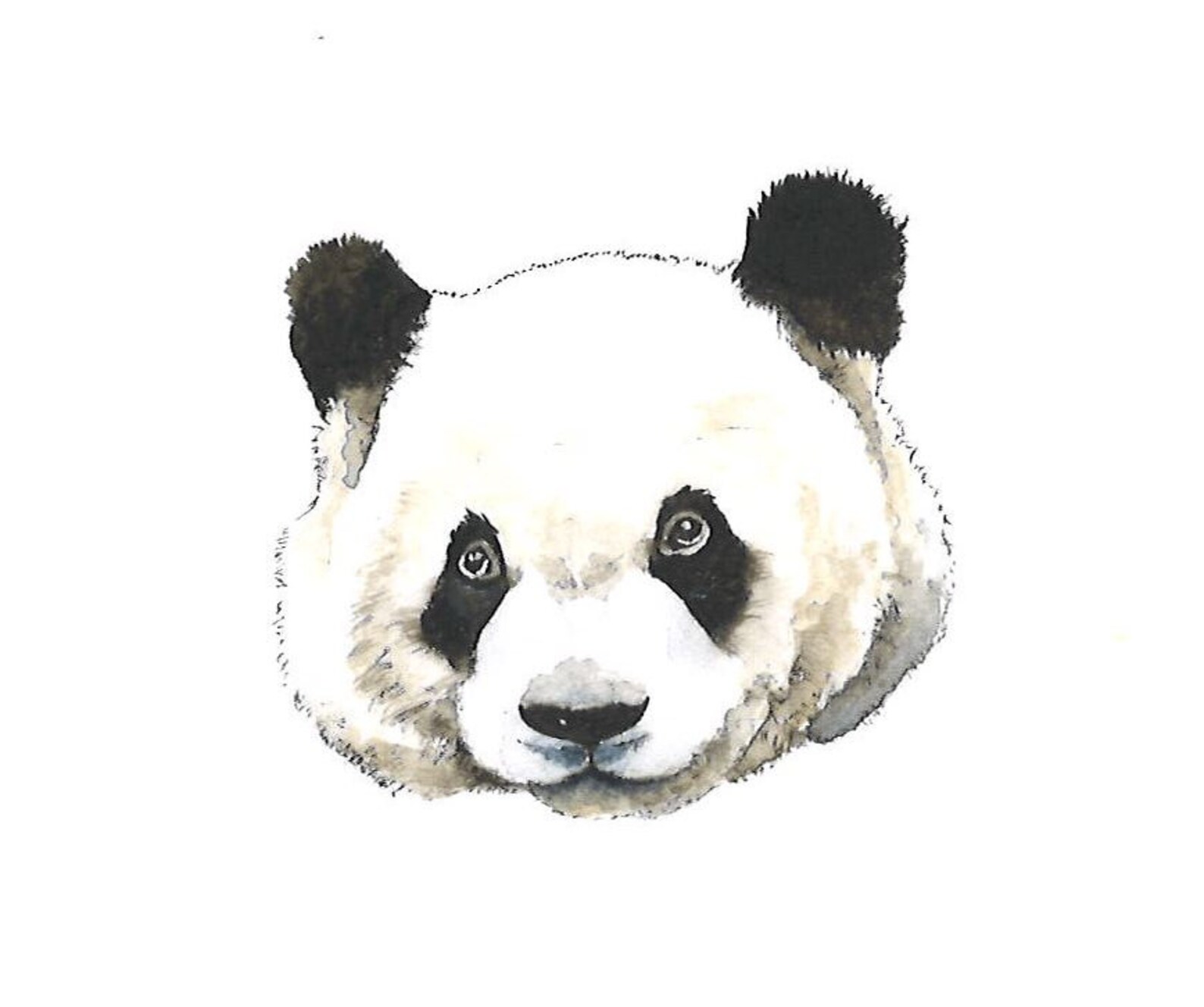 Red Panda and Giant Panda Plastic Matt Stickers - Etsy