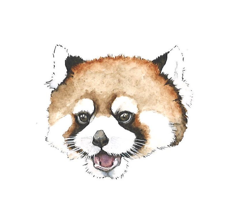 Red Panda and Giant Panda Plastic Matt Stickers - Etsy