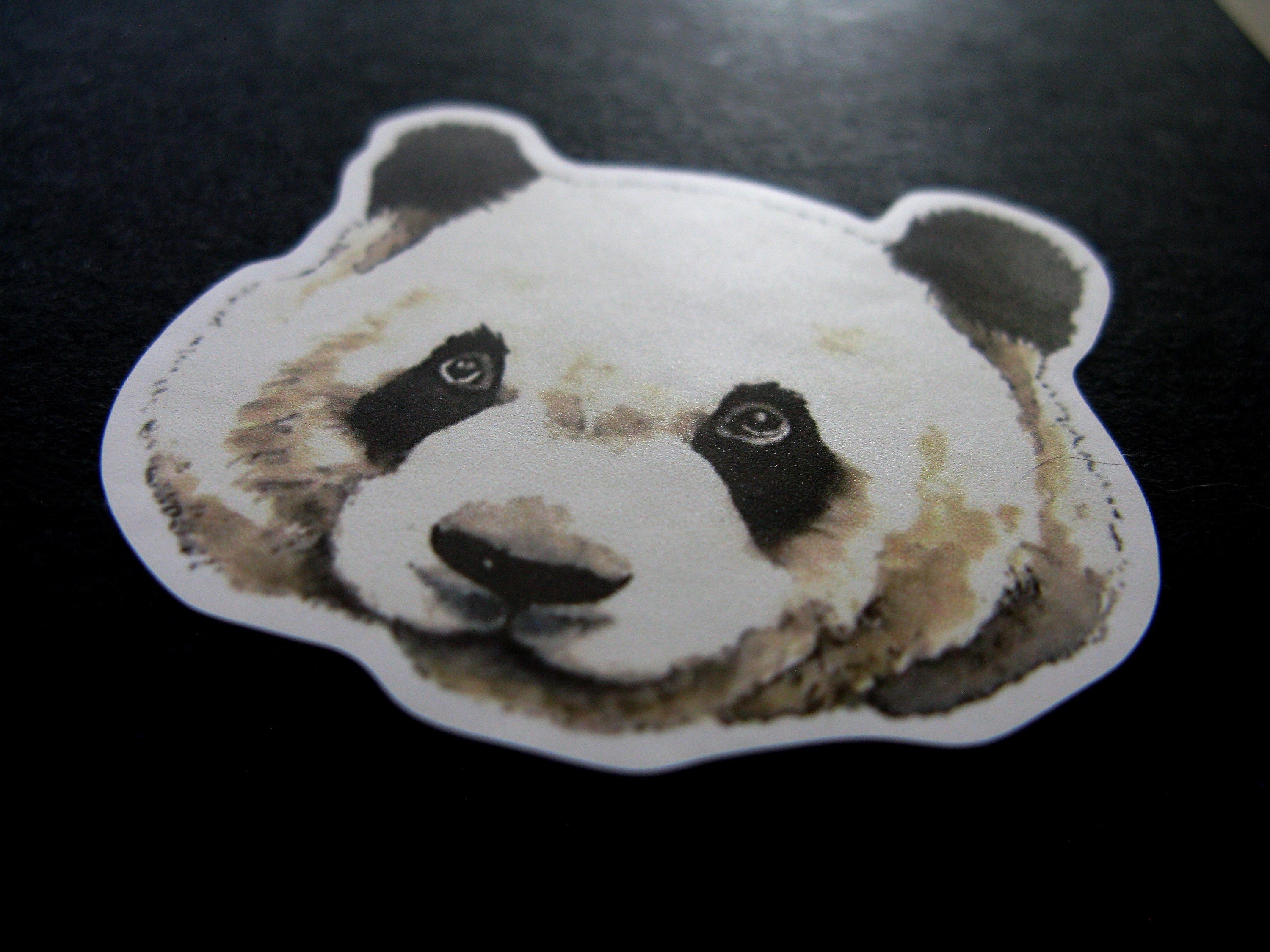 Red Panda and Giant Panda Plastic Matt Stickers - Etsy