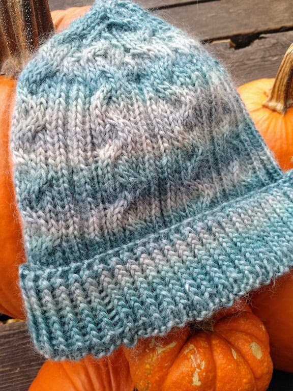 Braided Cable Hat - Etsy