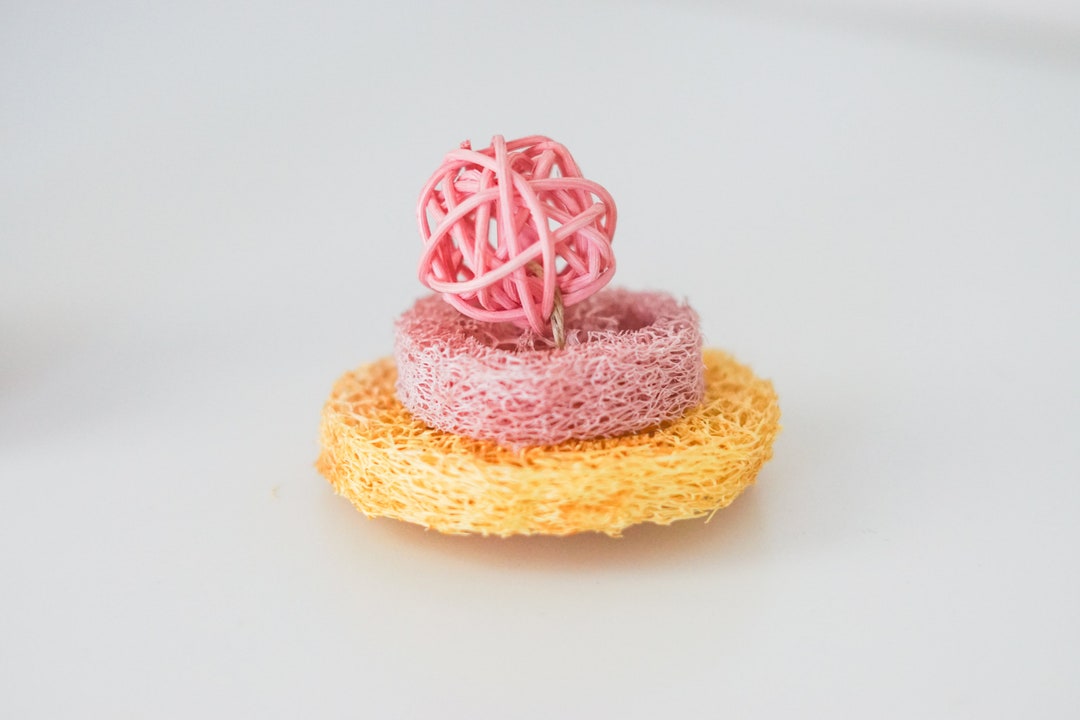 Fruity Loofah Cake Chew | Hamsters, Bunnies, Rabbits, Guinea Pigs, Rats ...