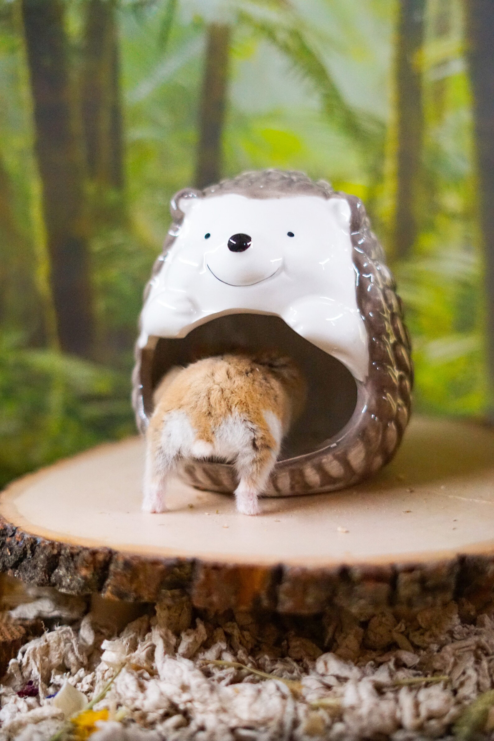 Hamster Ceramic Hideout - Etsy