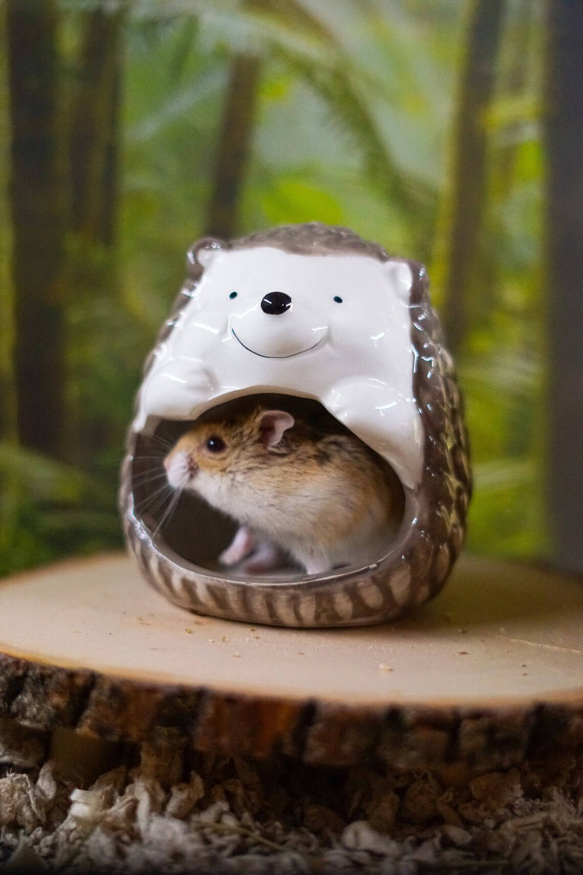 Hamster Ceramic Hideout - Etsy