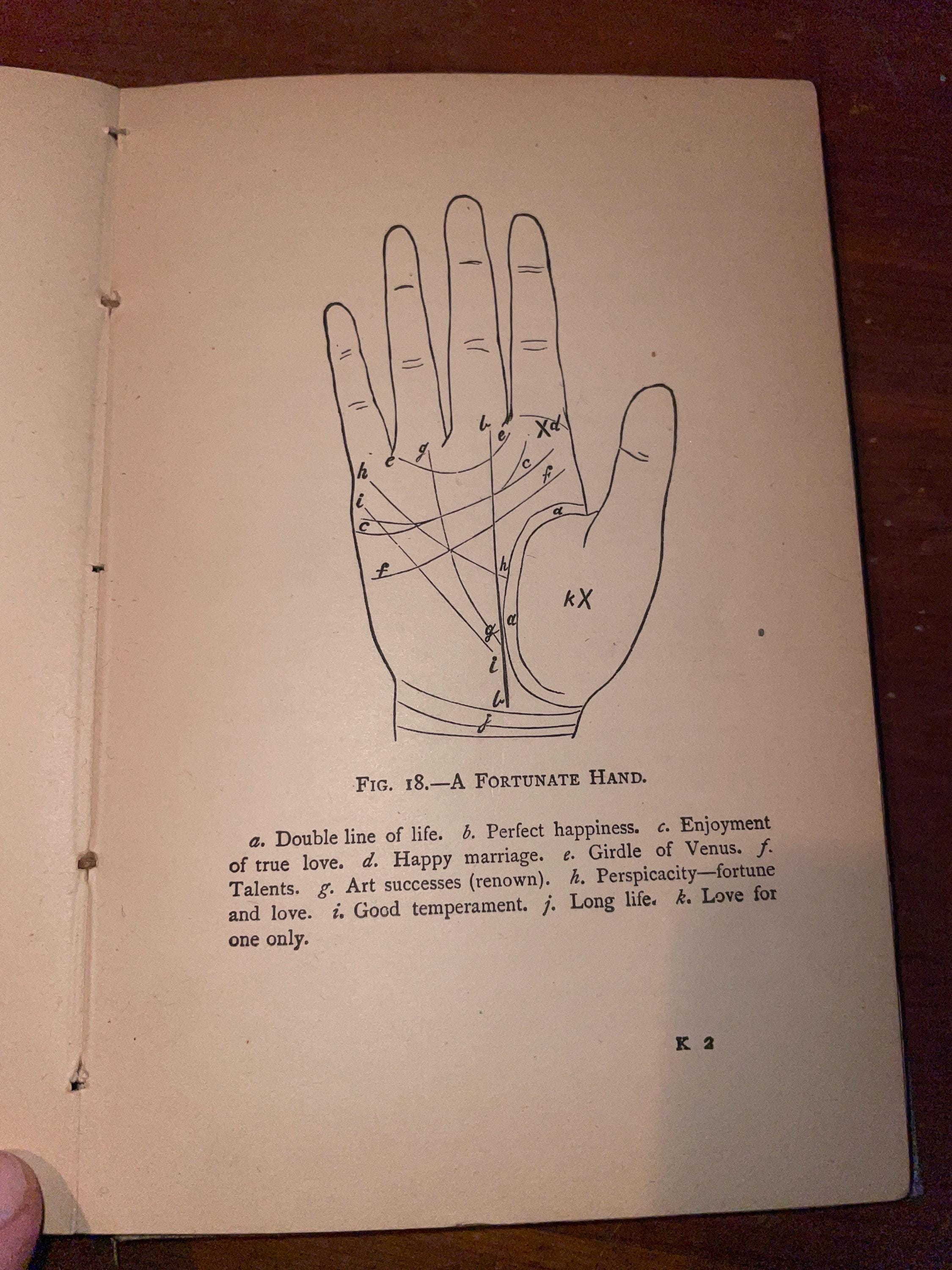 Vintage Palmistry Book the Language of the Hand Occult Divination Tarot ...