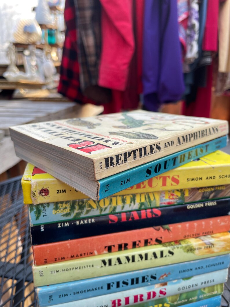 11 Vintage Guide Books Golden Press & Simon and Schuster - Etsy