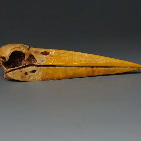 Marabou Stork - Etsy