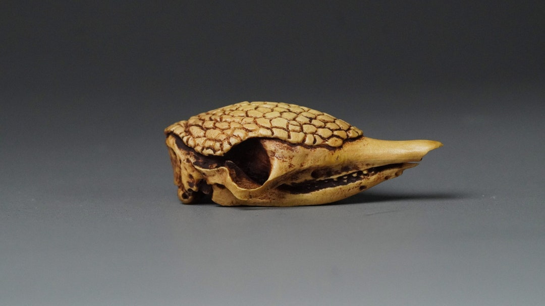 Miniature Armadillo Skull Wood Sculpture - Etsy
