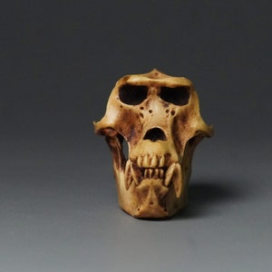 Miniature Gelada Baboon Skull Wood Sculpture - Etsy