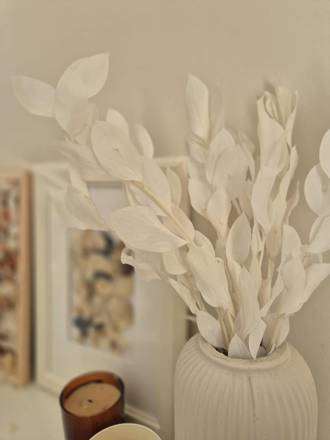 Long Ruscus Leaf, Preserved Flowering Italian Ruscus Plant, Dried ...