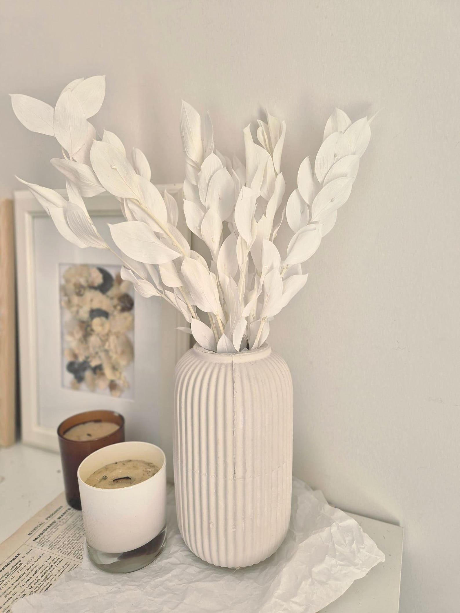 Long Ruscus Leaf, Preserved Flowering Italian Ruscus Plant, Dried ...