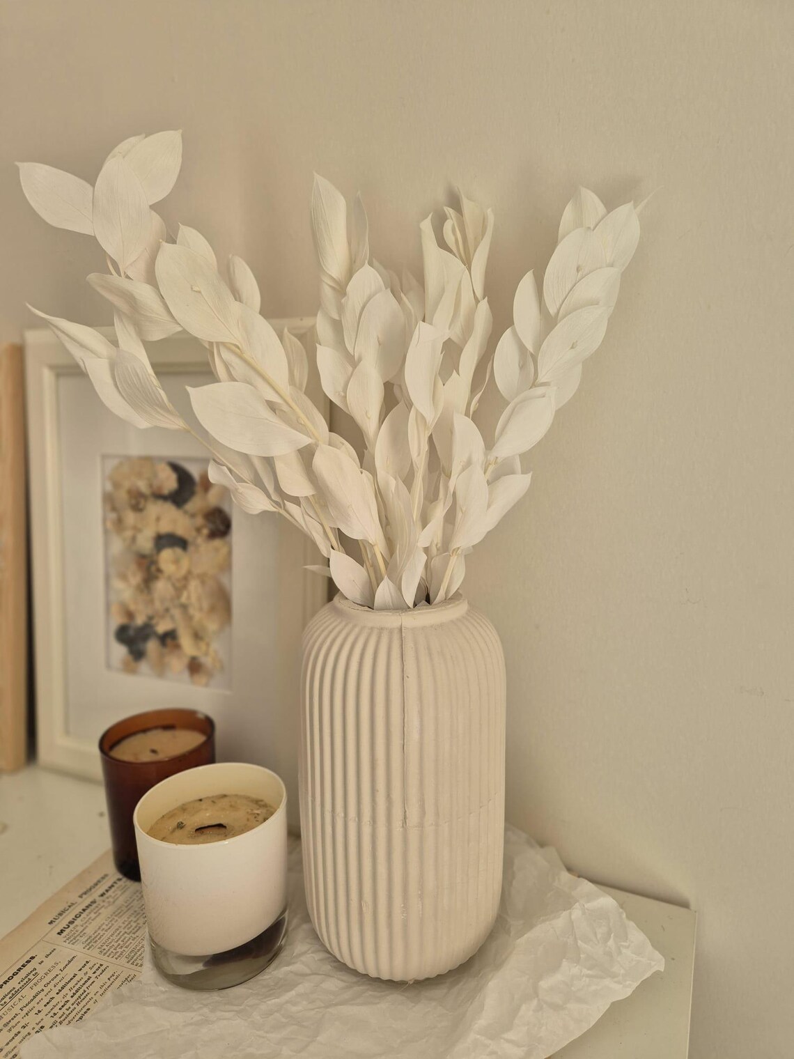 Long Ruscus Leaf, Preserved Flowering Italian Ruscus Plant, Dried ...