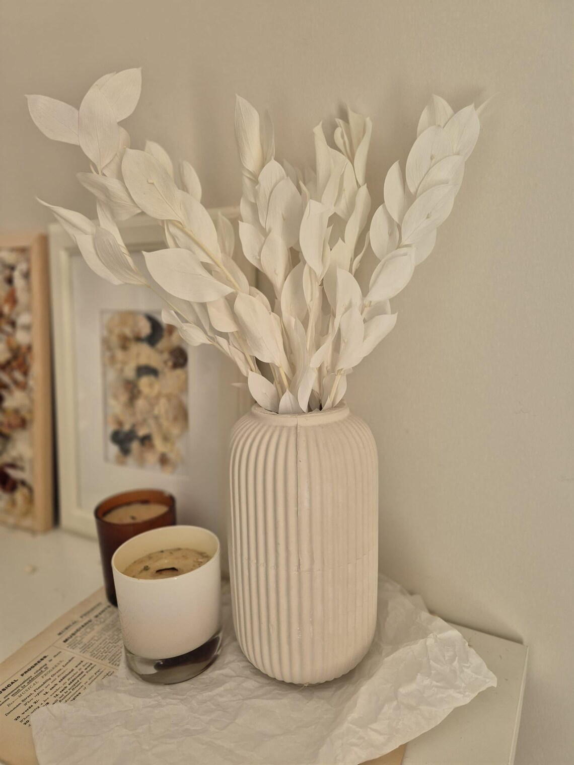 Long Ruscus Leaf, Preserved Flowering Italian Ruscus Plant, Dried ...