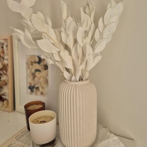 Long Ruscus Leaf, Preserved Flowering Italian Ruscus Plant, Dried ...