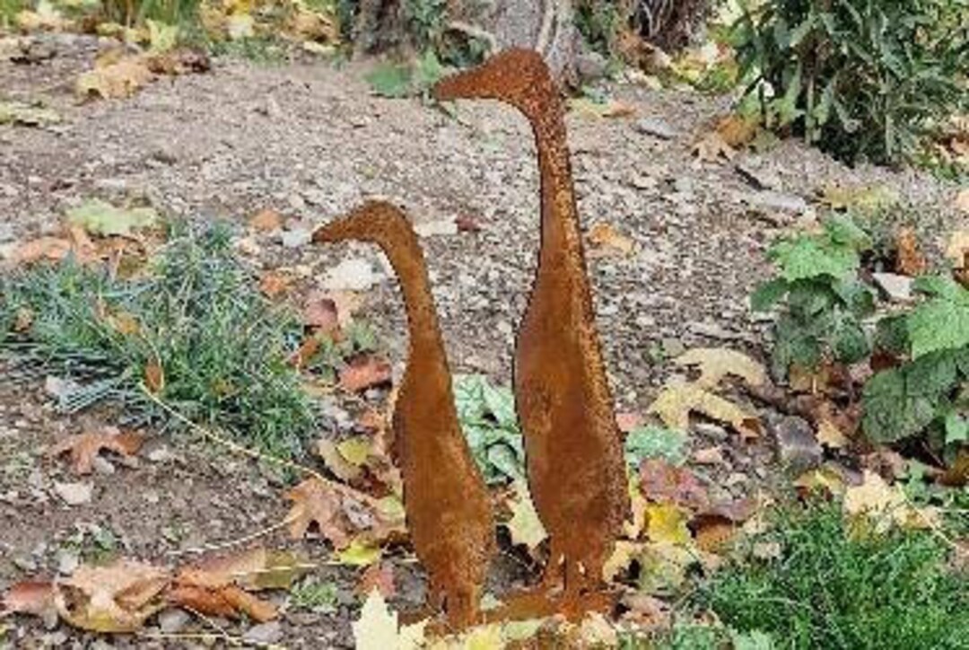 Rusty Metal Indian Runner Ducks - Etsy UK