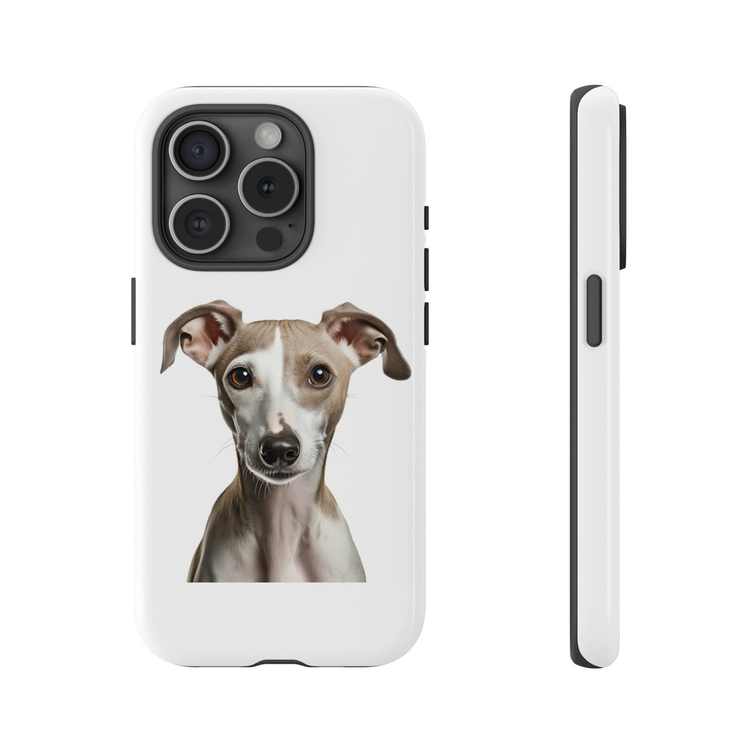 Xy_portrait_italian_greyhound_dog_sadness_visibly_sad_with_ears ...