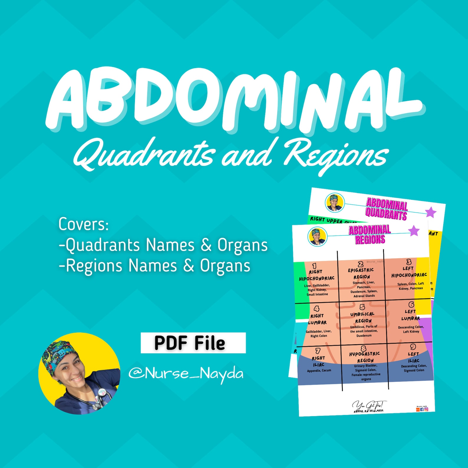 Abdominal Quadrants Regions, Human Anatomy, Human Body, Study Guide ...