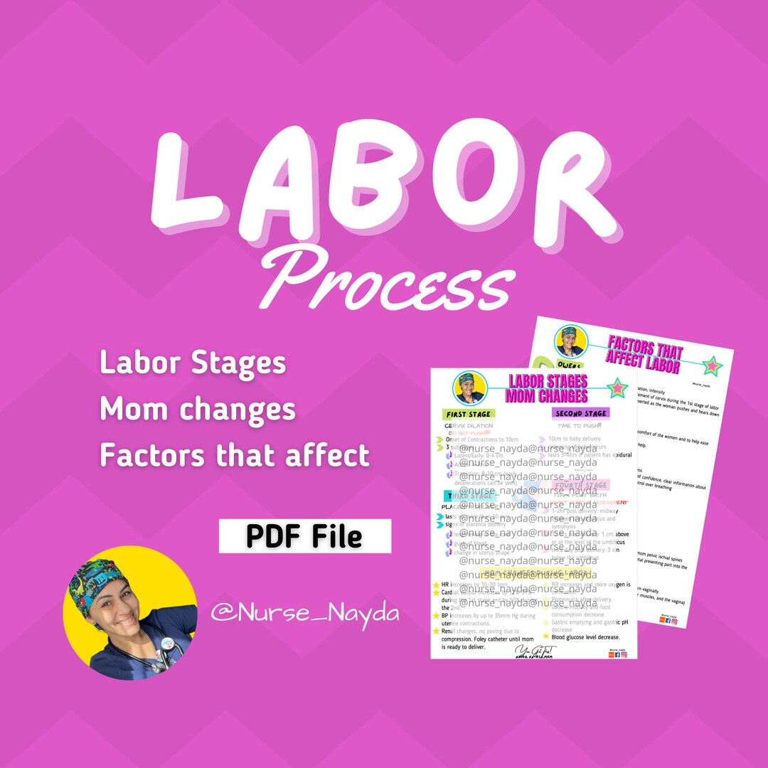 Labor Stages Labor Process Maternity Nurse School Study - Etsy
