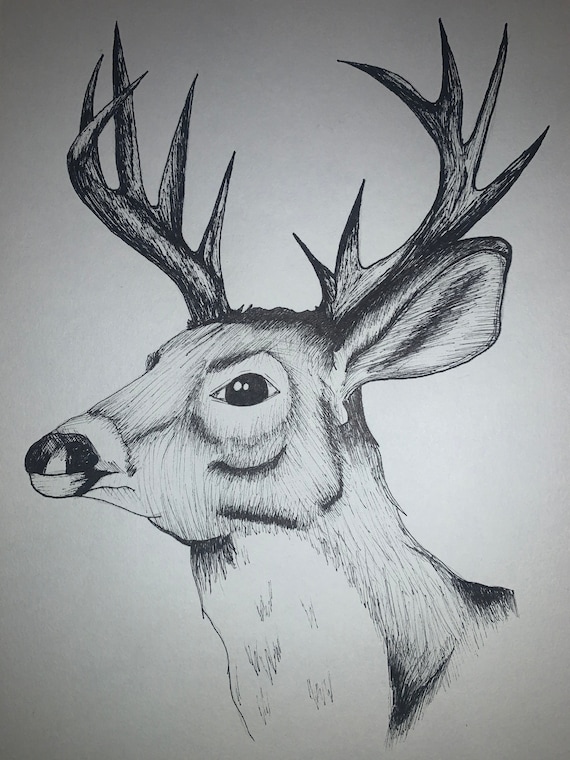 Pen And Ink Deer Pencil And Pen Drawing Gilcrease Museum