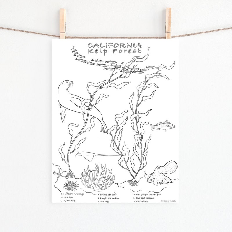 Kelp Forest Art - Etsy