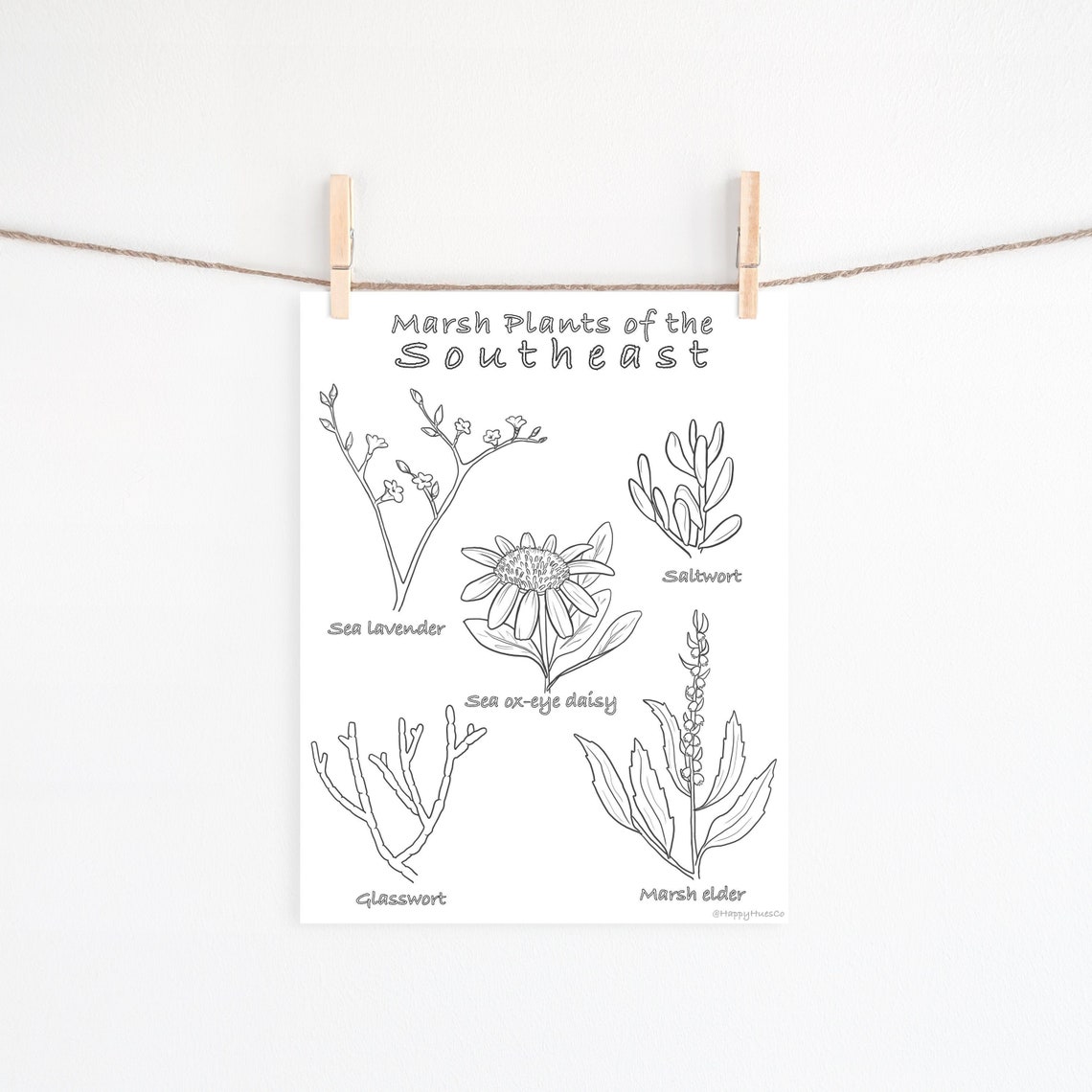 Marsh Plants of Southeast /coloring Pages /digital Download /ocean ...