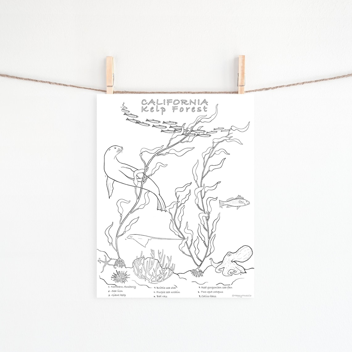 Kelp Forest Coloring Page /digital Download/kids and Adults /print ...