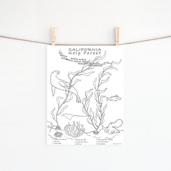 Kelp Coloring Pages