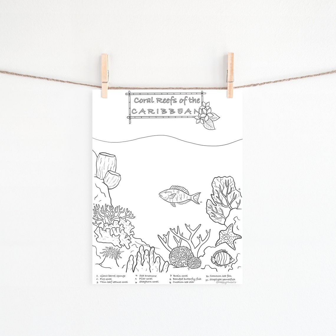 Coral Reef Ocean Coloring Pages /digital Download /educational /adults ...