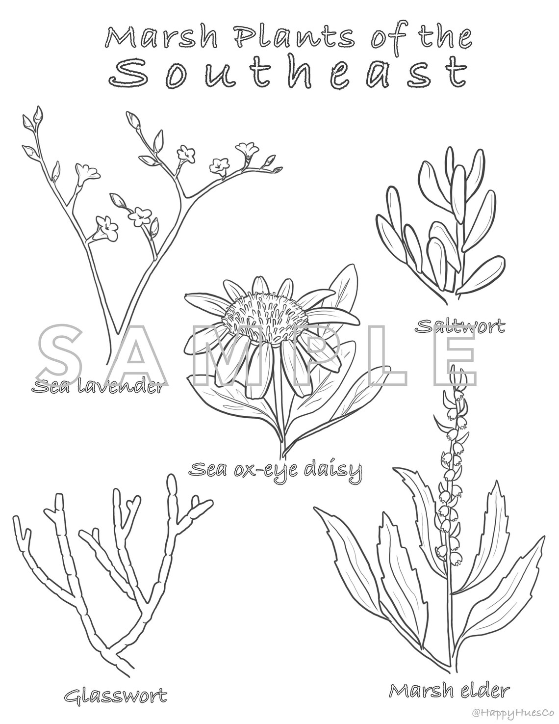 Marsh Plants of Southeast /coloring Pages /digital Download /ocean ...