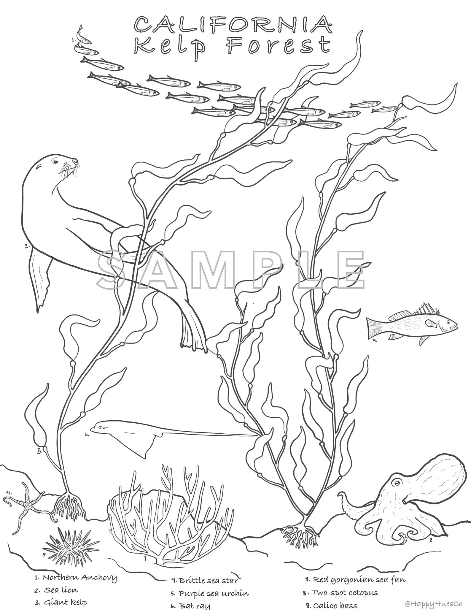 Kelp Forest Coloring Page /digital Download/kids and Adults /print ...